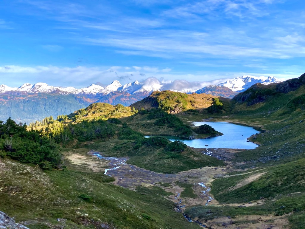 Newsletter: November 2021 - David Egan Philosophy