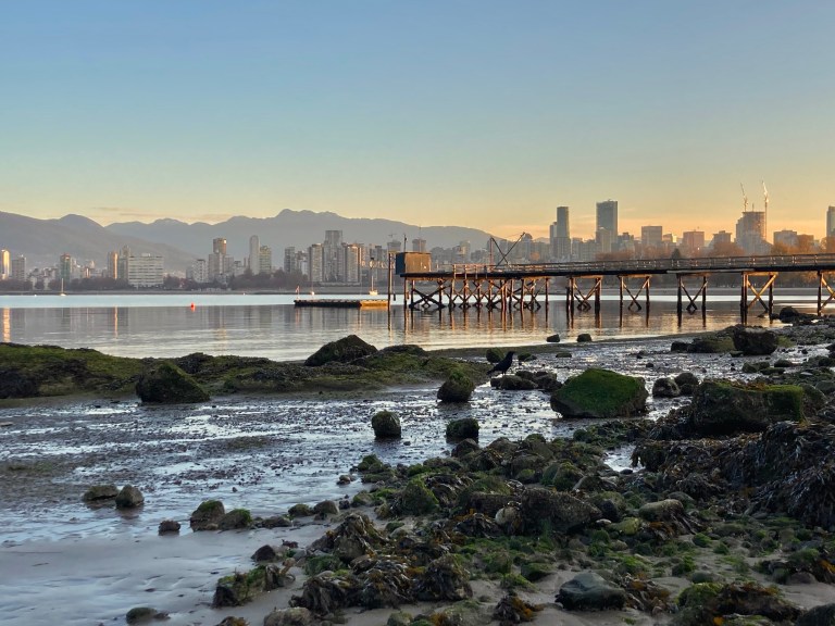 Newsletter: December 2022 - David Egan Philosophy